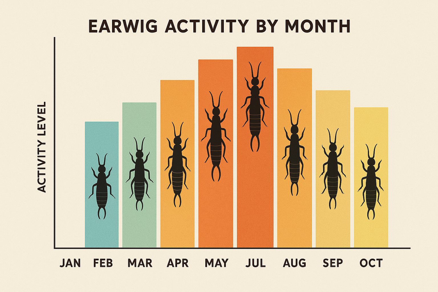 Emergency Earwig Control in Suwanee, Georgia: What to Do Right Now ...