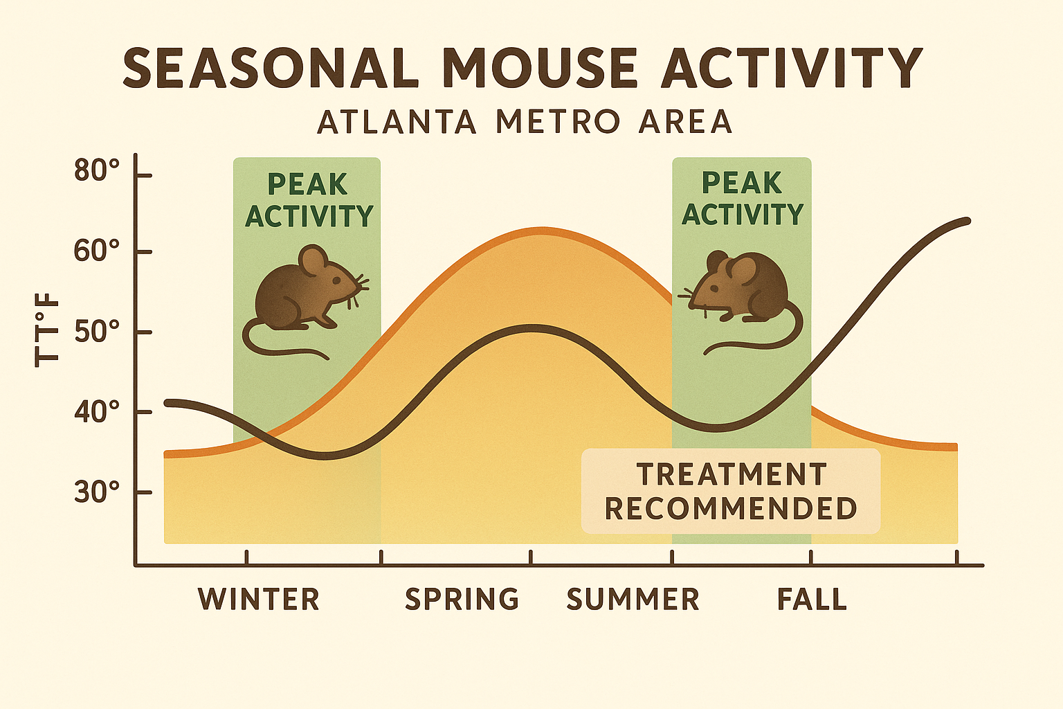 Top-Rated Mouse Control in Brookhaven, Georgia: Cost, Treatment & Tips ...