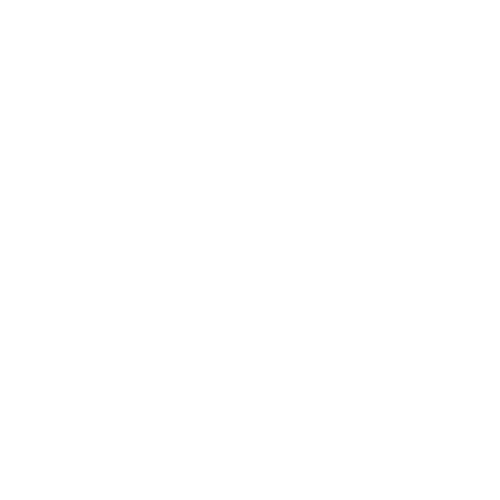 Flib