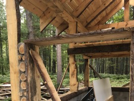 Timber Frame Guest Cabin | Wood-Mizer Personal Best Contest