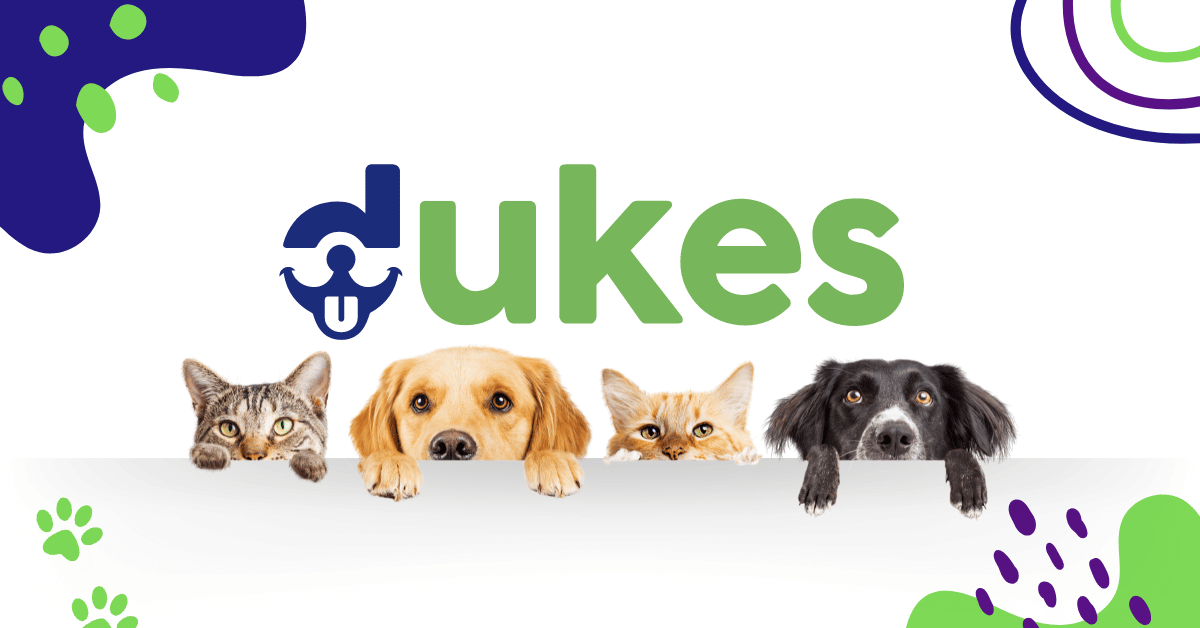 Dukes - Identificación inteligente de mascotas