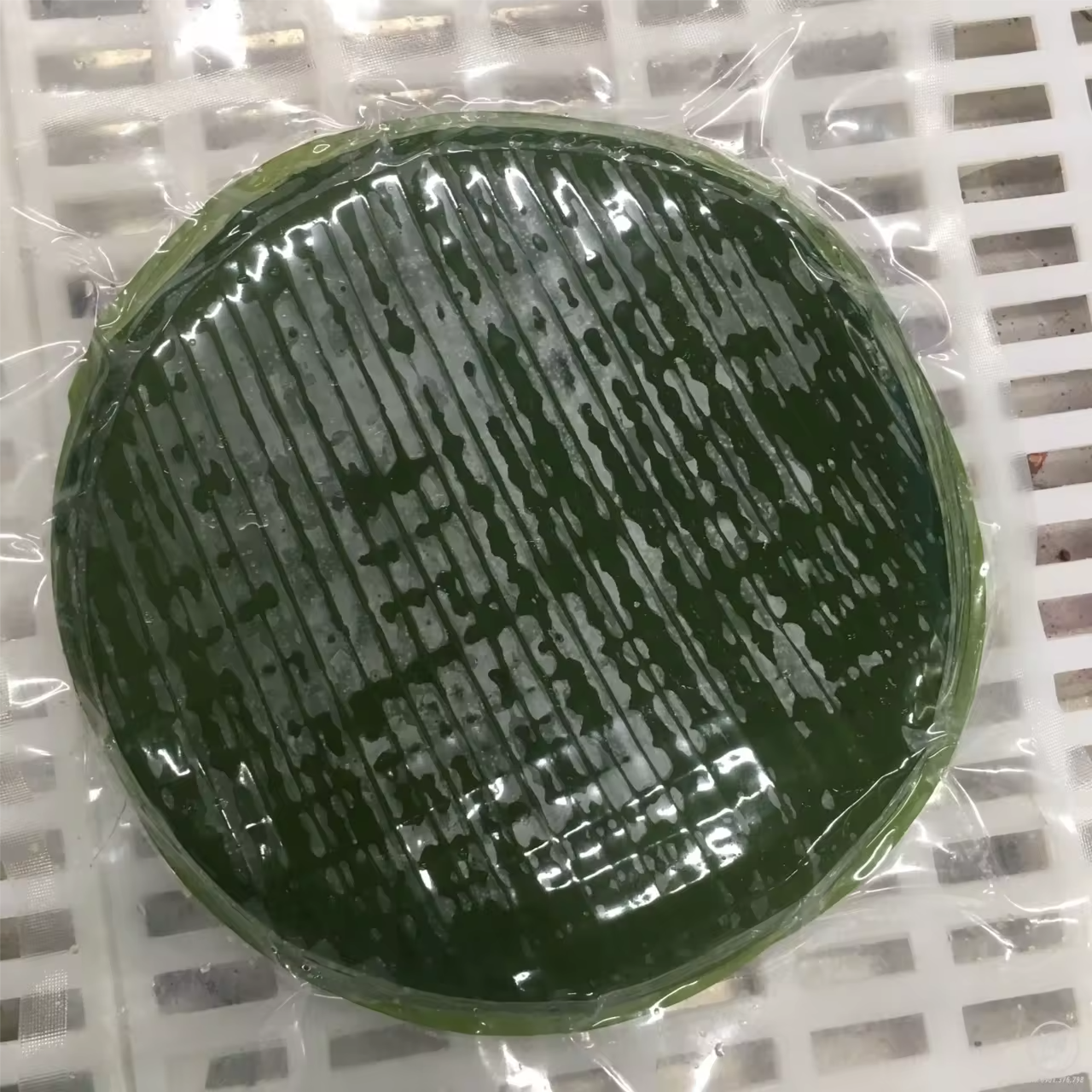 Natural Banana Leaves, Green Banana Leaf, Great for Cooking - 1kg | Dakoli