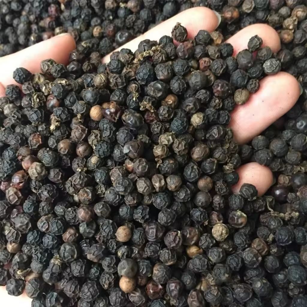Organic Vietnamese Black Peppercorns - 2.2 lb | Dakoli