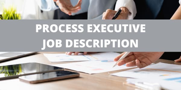 Process Executive Job Description | CareerCloud