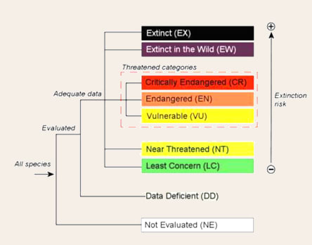 Conservation statuses explained | BioDB