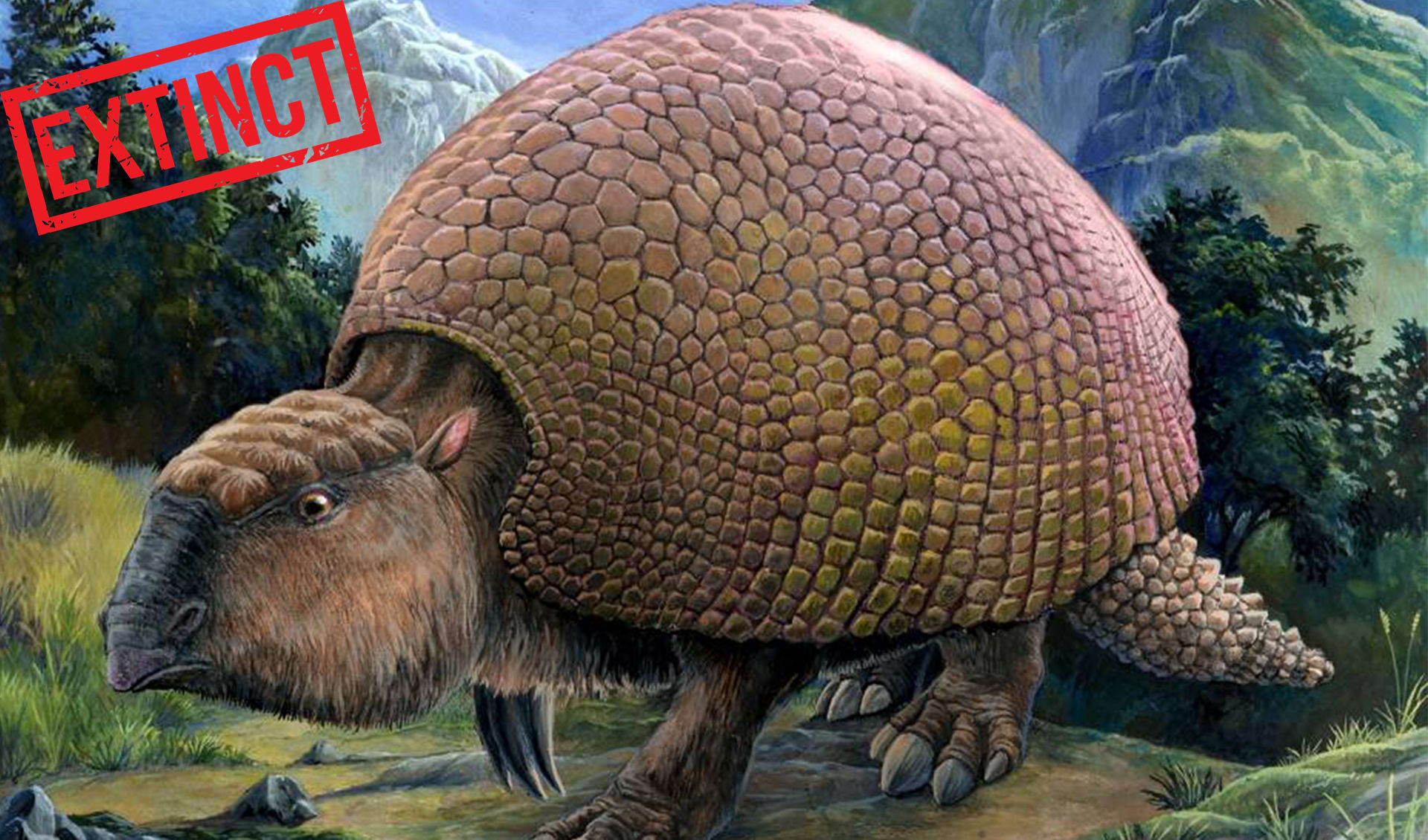 Glyptodon clavipes facts, distribution & population | BioDB
