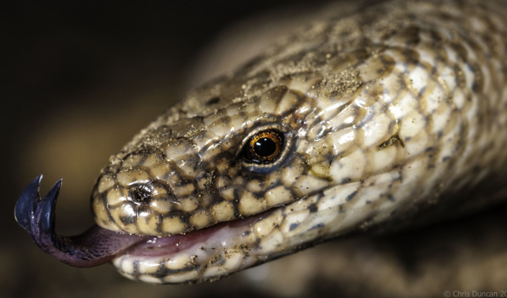 Poland Biodiversity and Nature Conservation | BioDB