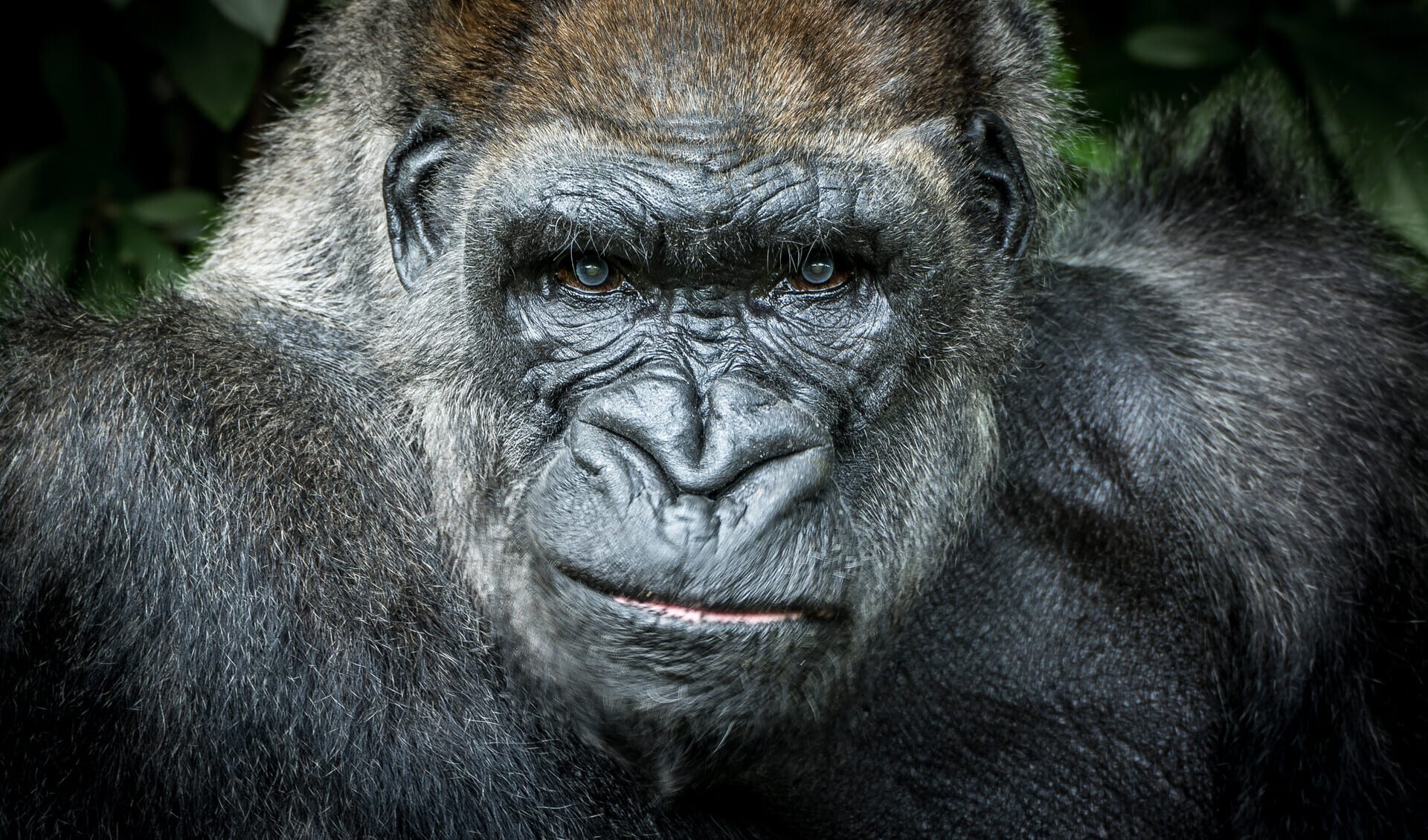 Equatorial Guinea Biodiversity and Nature Conservation | BioDB