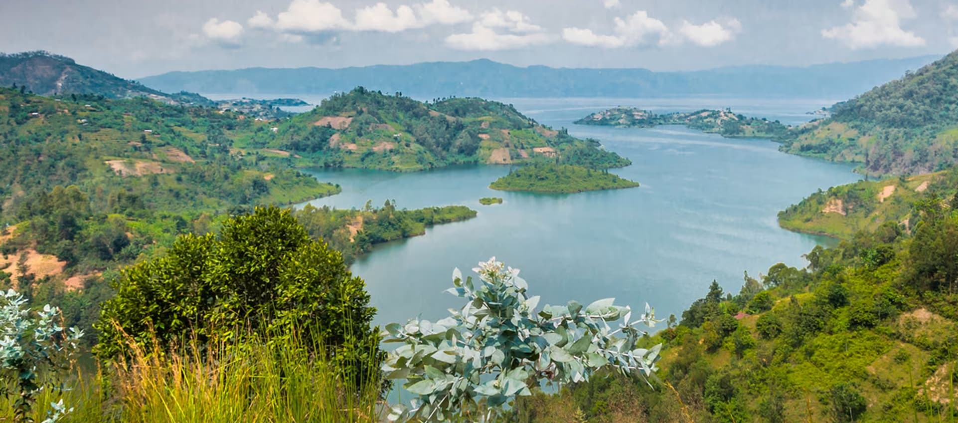 DR Congo (Kinshasa) Biodiversity and Nature Conservation | BioDB