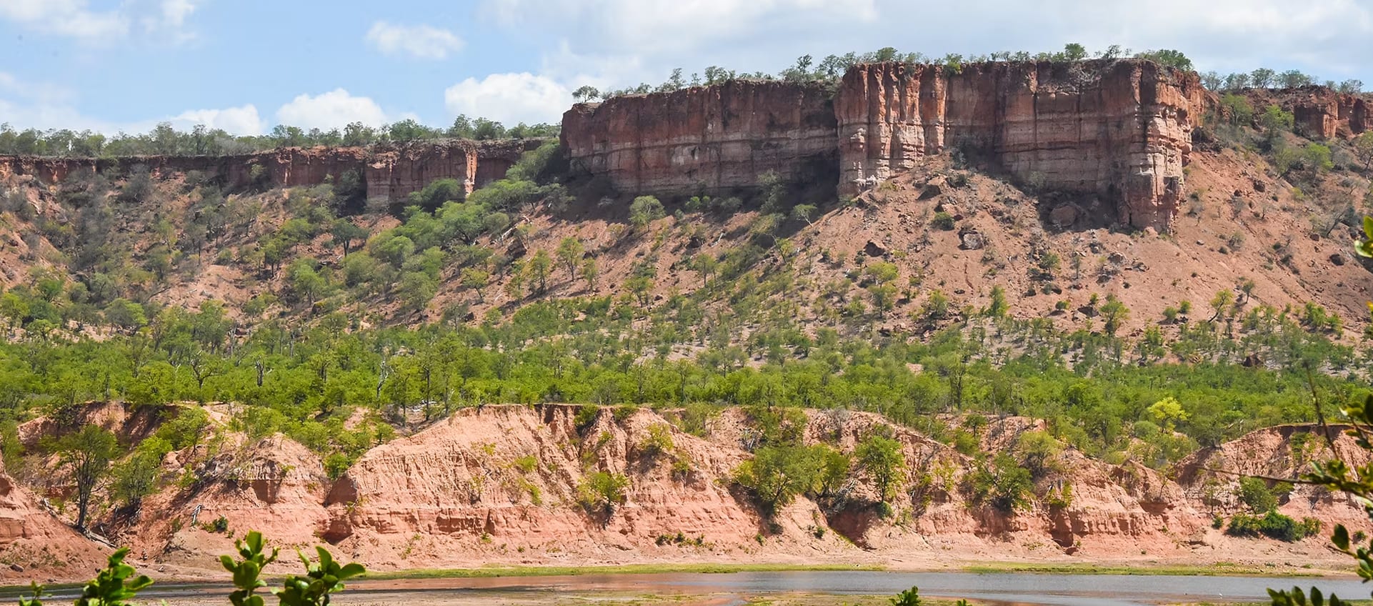 Zimbabwe Biodiversity and Nature Conservation | BioDB