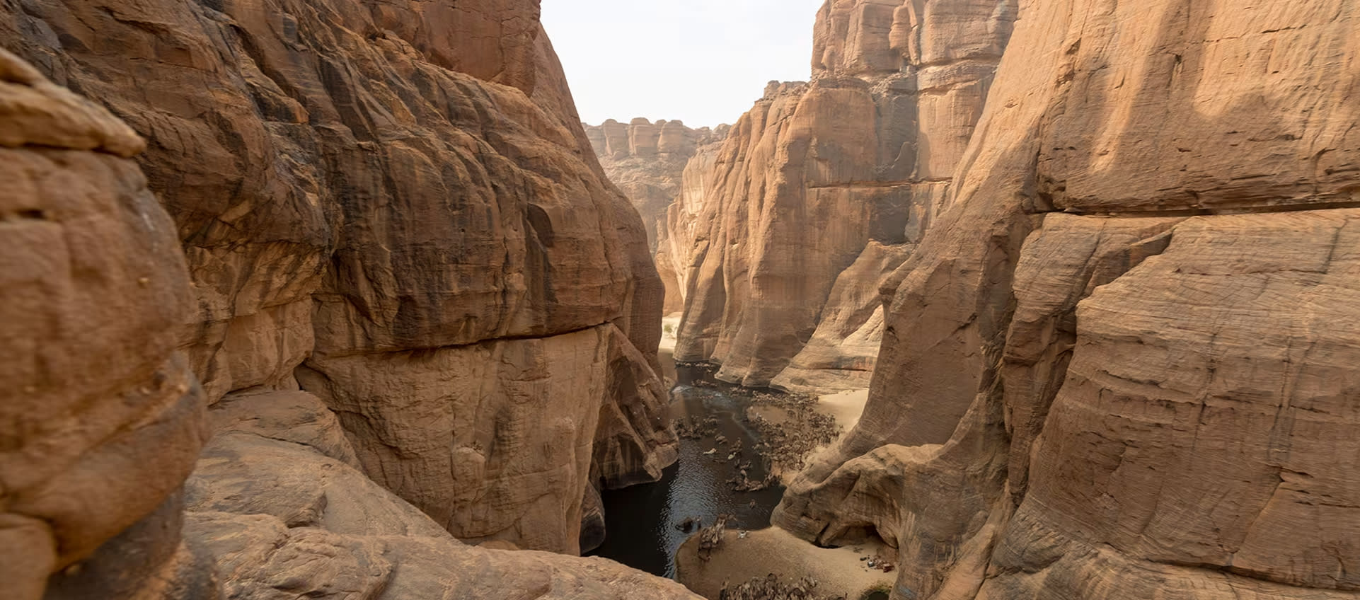 Chad Biodiversity and Nature Conservation | BioDB