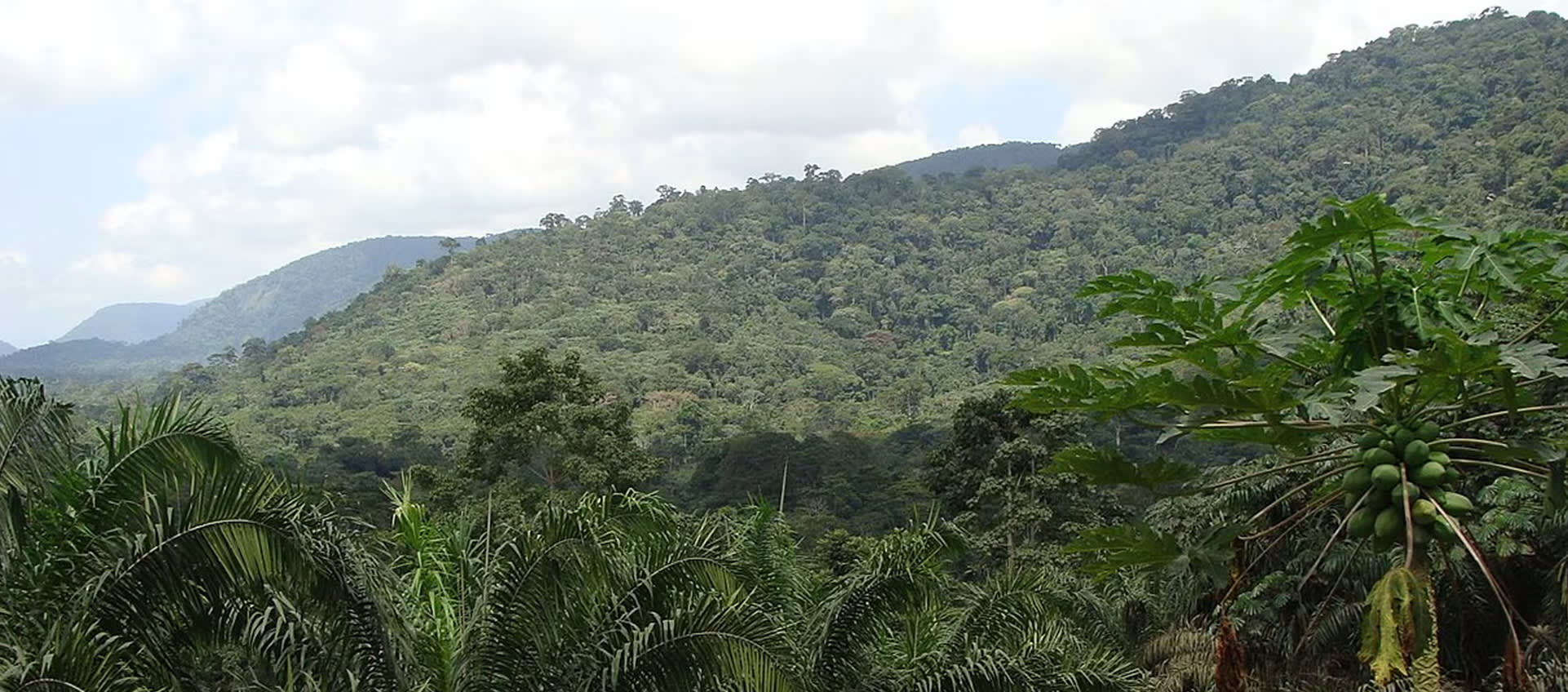 Equatorial Guinea Biodiversity and Nature Conservation | BioDB