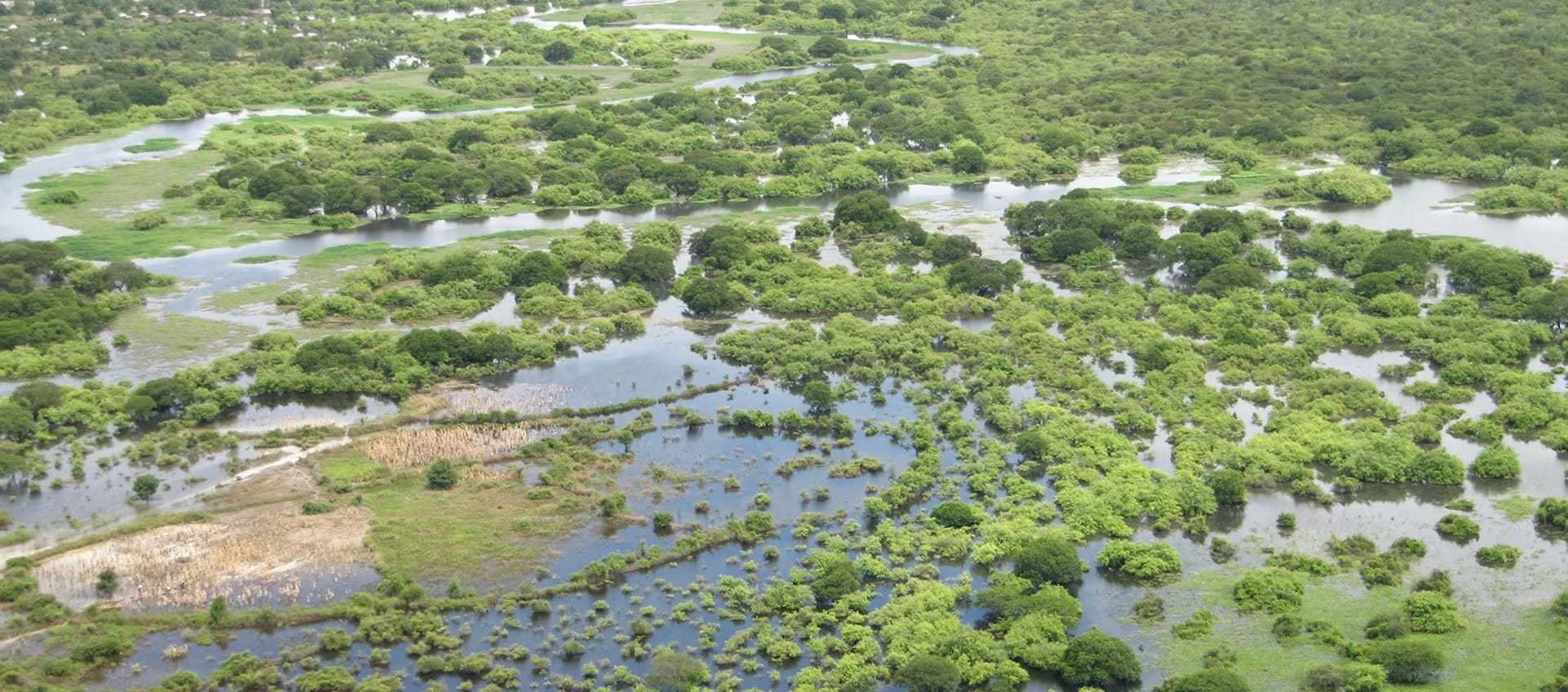 South Sudan Biodiversity and Nature Conservation | BioDB