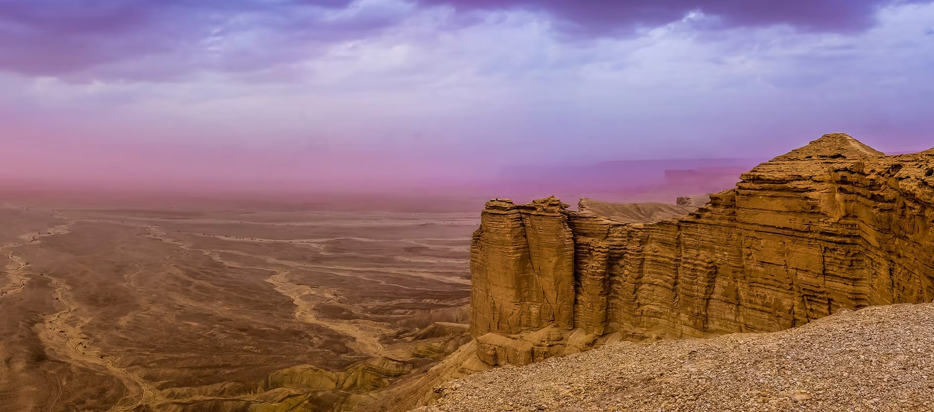 Saudi Arabia Biodiversity and Nature Conservation | BioDB