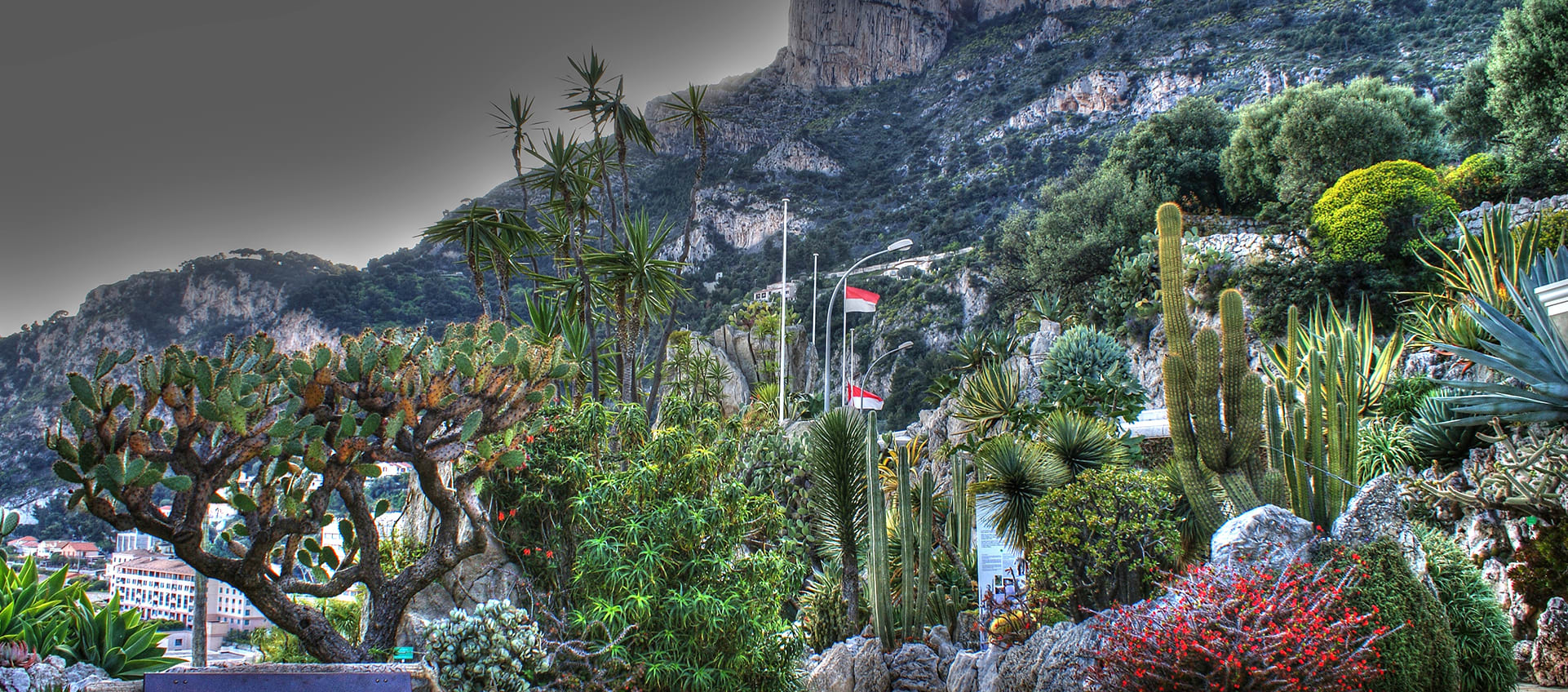 Monaco Biodiversity and Nature Conservation | BioDB