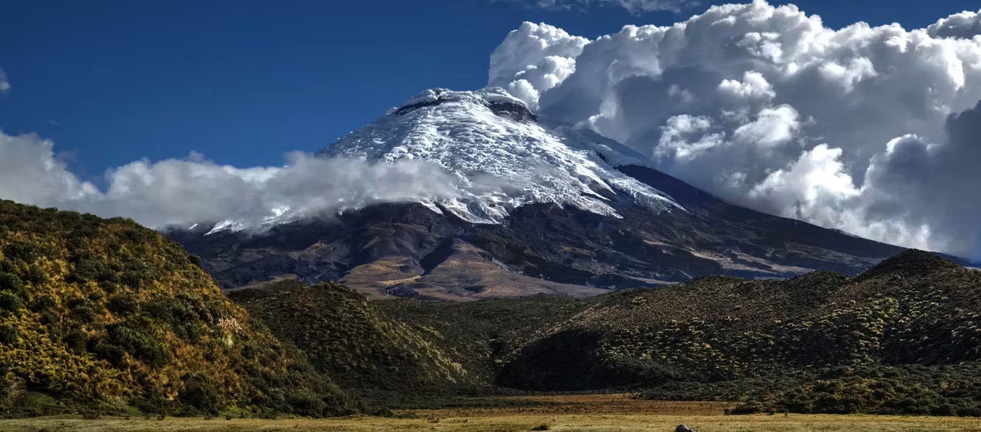 Ecuador Biodiversity and Nature Conservation | BioDB