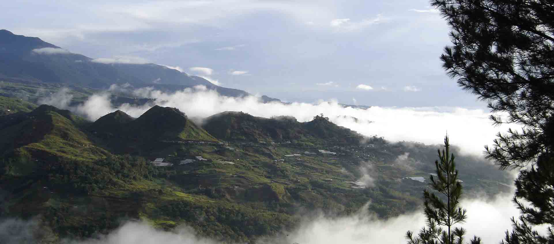 Brunei Biodiversity and Nature Conservation | BioDB