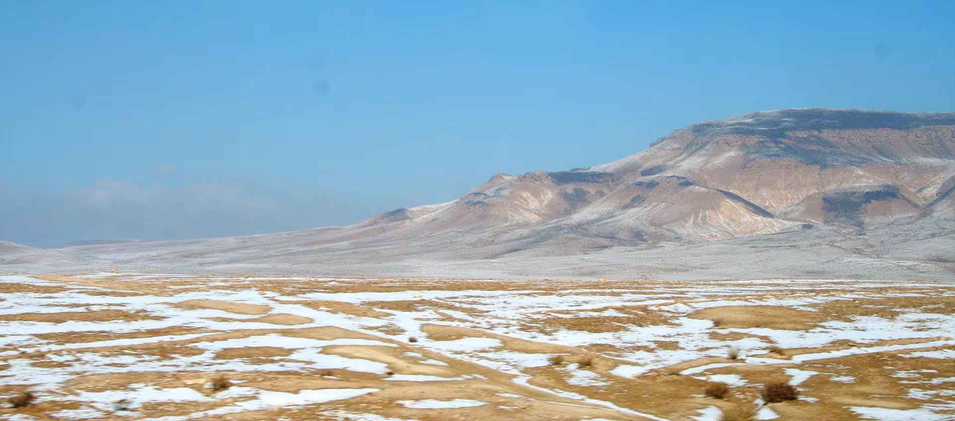 Syria Biodiversity and Nature Conservation | BioDB