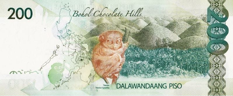 Philippine tarsier facts, distribution & population | BioDB