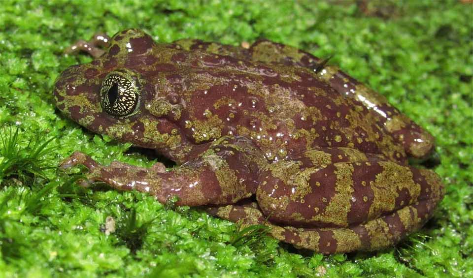 South Africa Biodiversity and Nature Conservation | BioDB