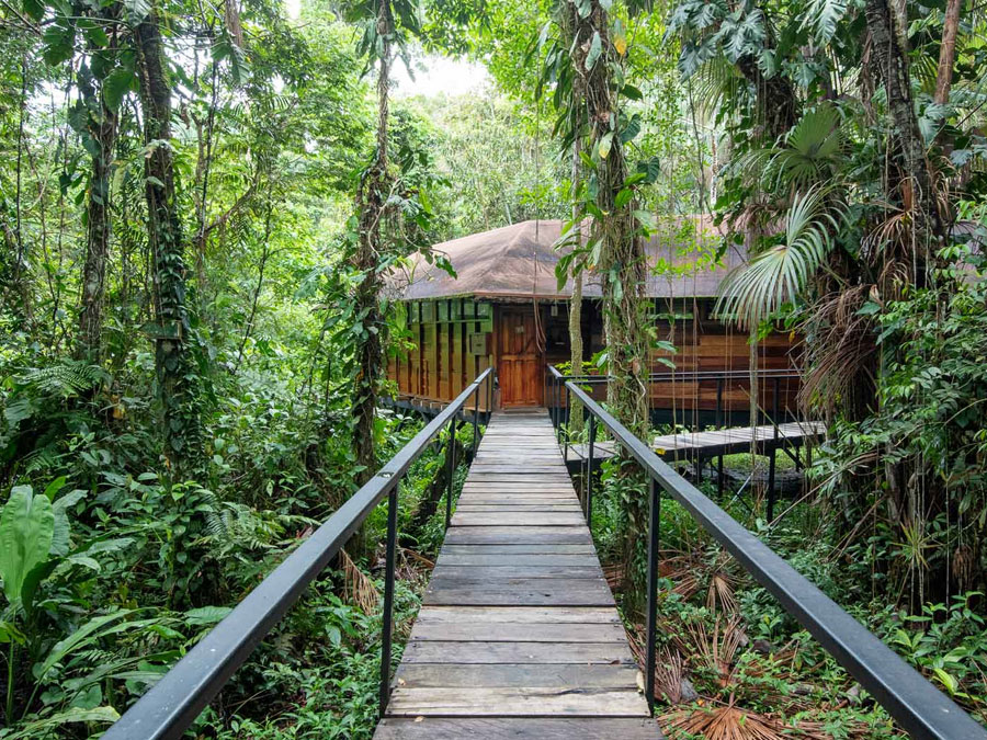 The Sacha Lodge Amazon Tour, Coca, Ecuador