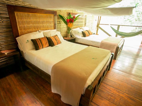 The Top 5 Family Amazon Tours