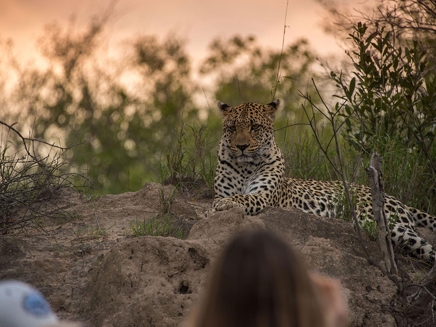 The Inyati Game Lodge, Sabi Sand Game Reserve, South Africa
