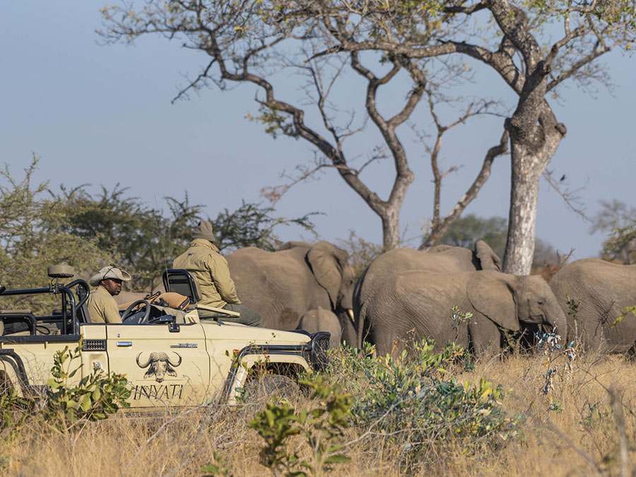 The Inyati Game Lodge, Sabi Sand Game Reserve, South Africa