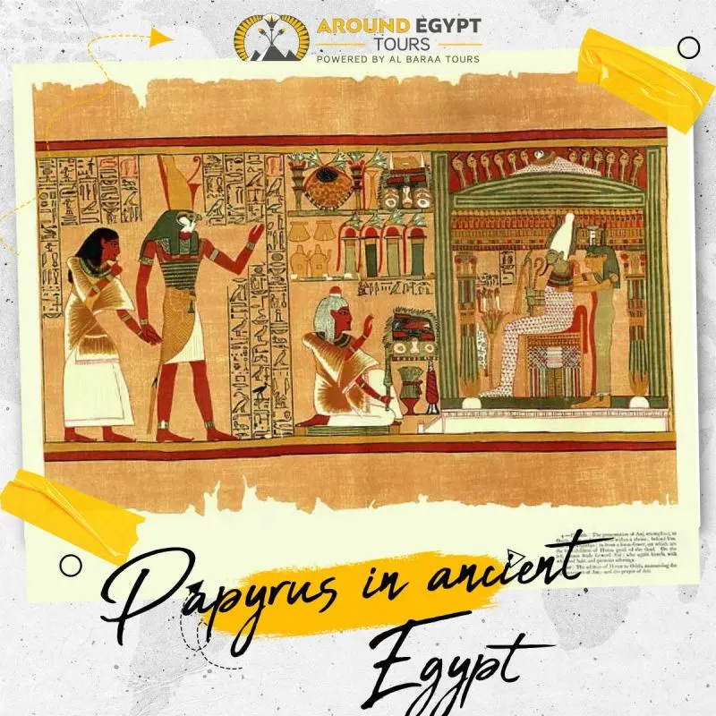 Discovering the History of Papyrus in Ancient Egypt