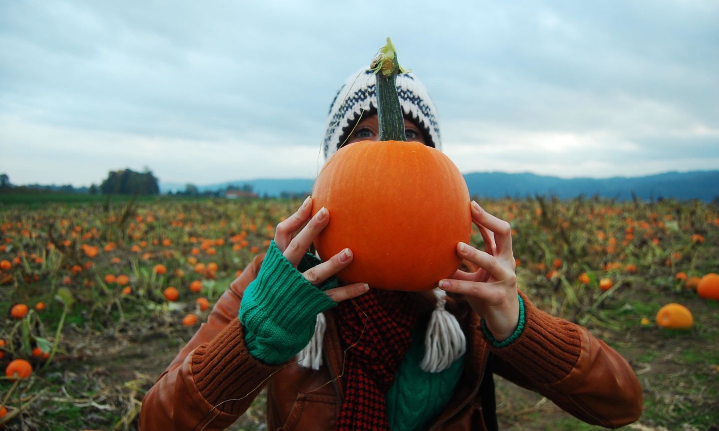 Pumpkin Patches in and Near Portland | The Official Guide to Portland
