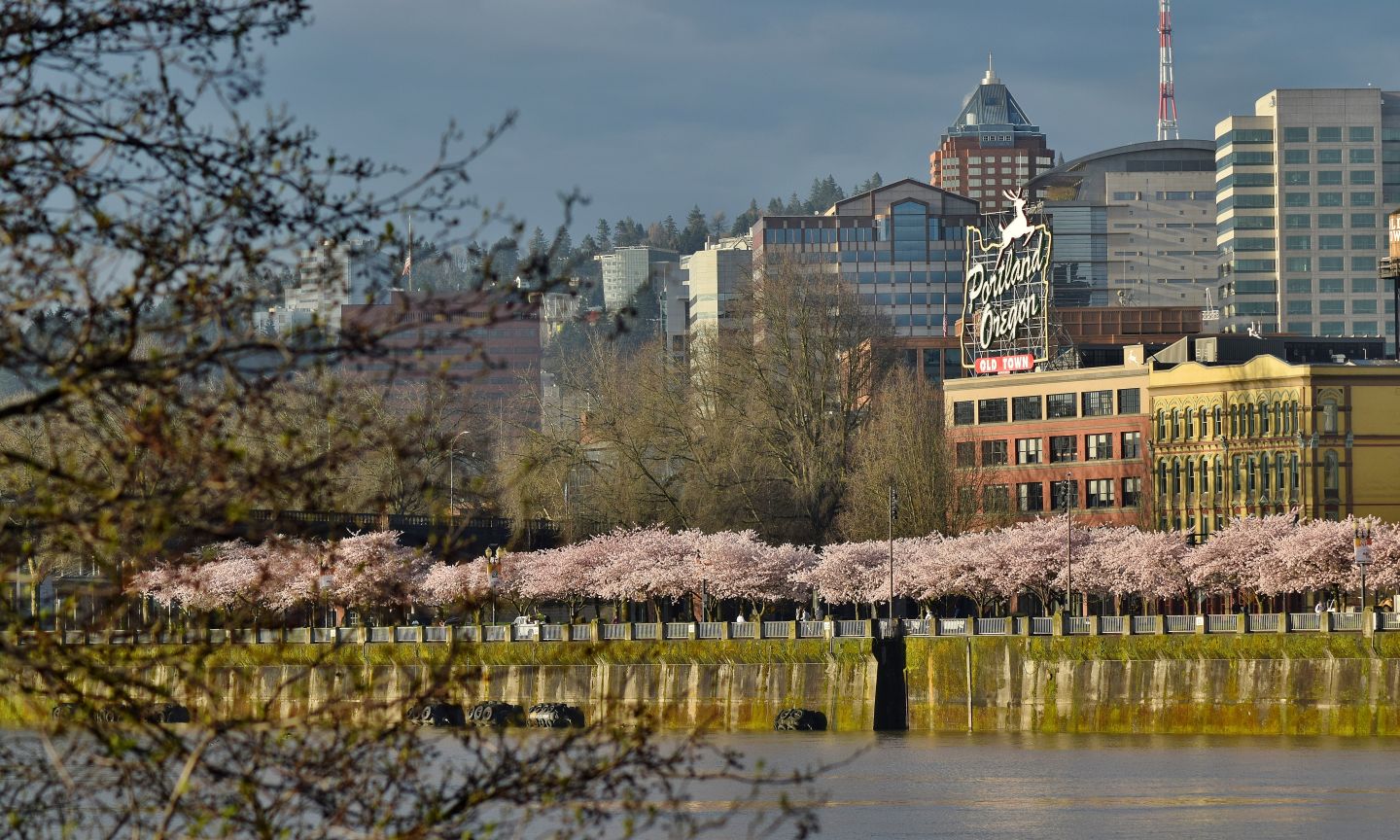 Why Planners Love Portland | An Event Planner's Guide