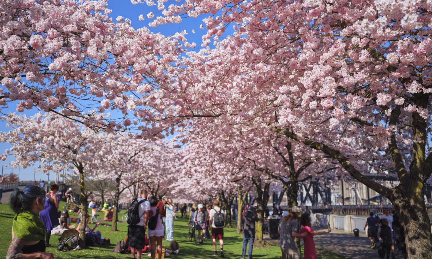 Submitting Your Event to the Travel Portland Events Calendar | The ...