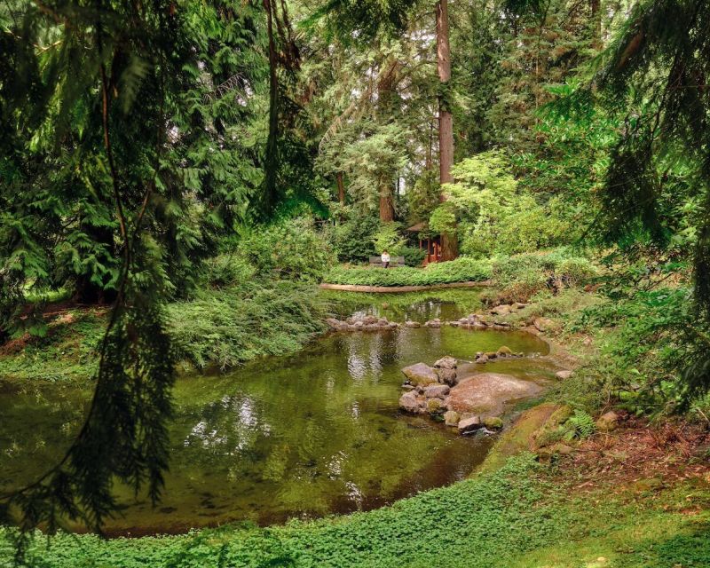catholic grotto backyard