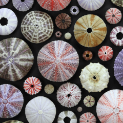 Things to Do in Portland Today | The Official Guide to Portland