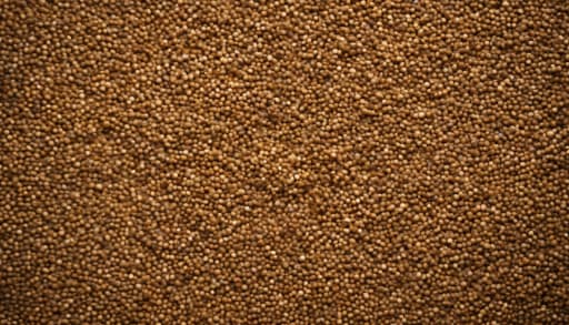 Decoding the Enigma: Exploring the Hidden Symbolism of Dal in Dreams