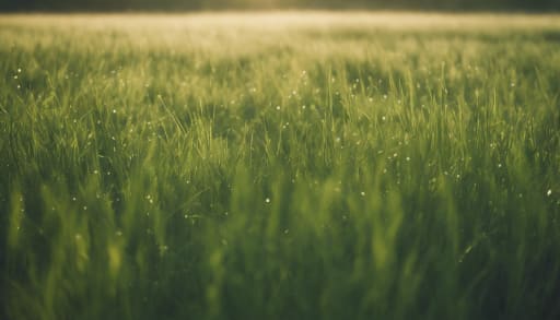 Greenery Abound: Unraveling the Symbolism of Grass in Dreams