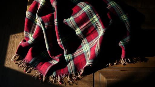 5 Types of Individuals Prone to Dreaming of Plaid Cloth