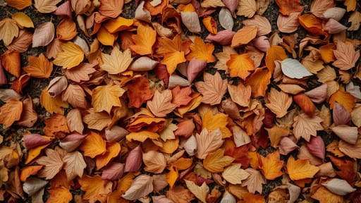 Withered Leaves: Unveiling the Meaning Behind This Dream Symbol