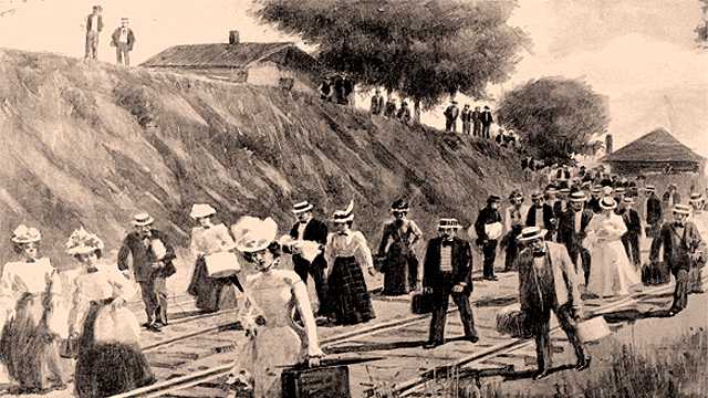 Yellow Fever Causes Symptoms Vaccine And History The Daily Dose