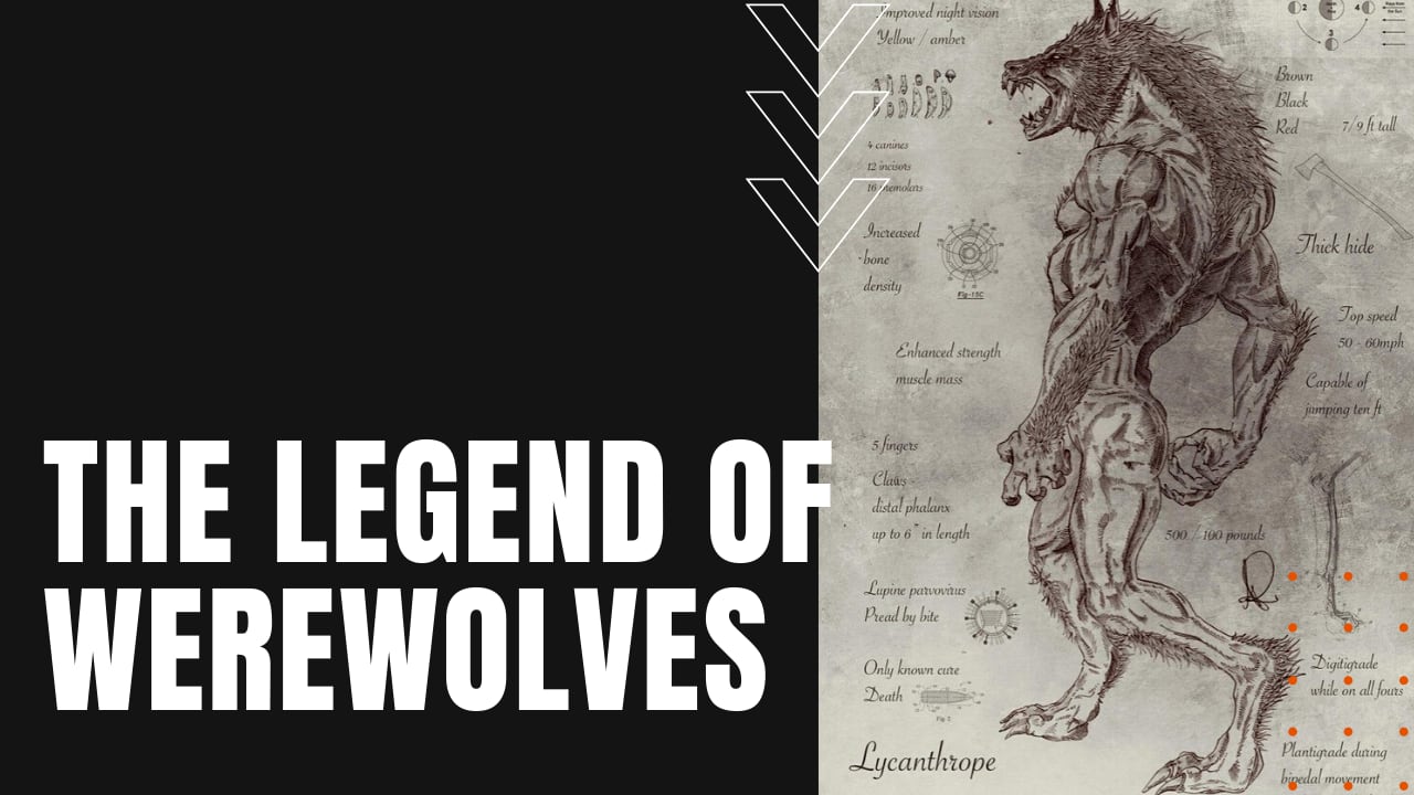 Legend of Werewolves: Origins of the Lycanthrope | The Daily Dose