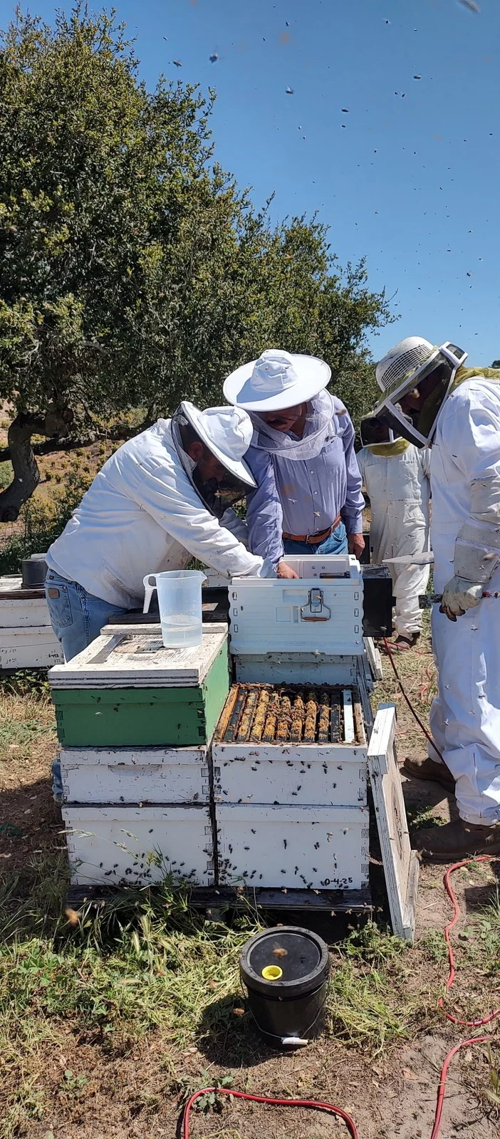 In The Field: Southern California Demo Day Shows ApiVera’s Impact