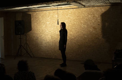 Tomoko Hojo | Border Buda