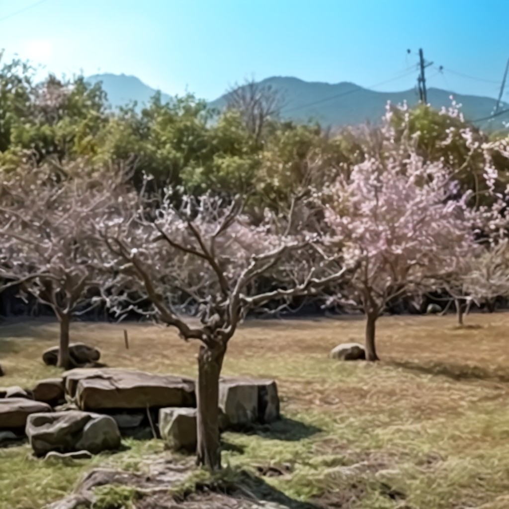 Chunyang Hot Spring · Tribal Adventure Camping Area | Camping Map