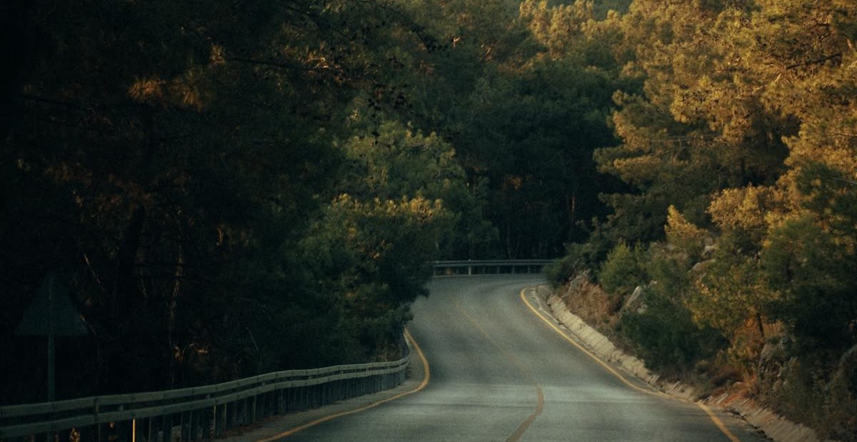 A Local's Guide to Choosing the Right Vehicle with Fitzgerald Auto ...