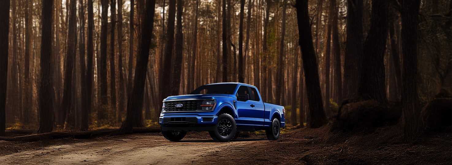 🎨 2025 Ford F-150 Colors - Exterior Color Options & Interior Materials ...