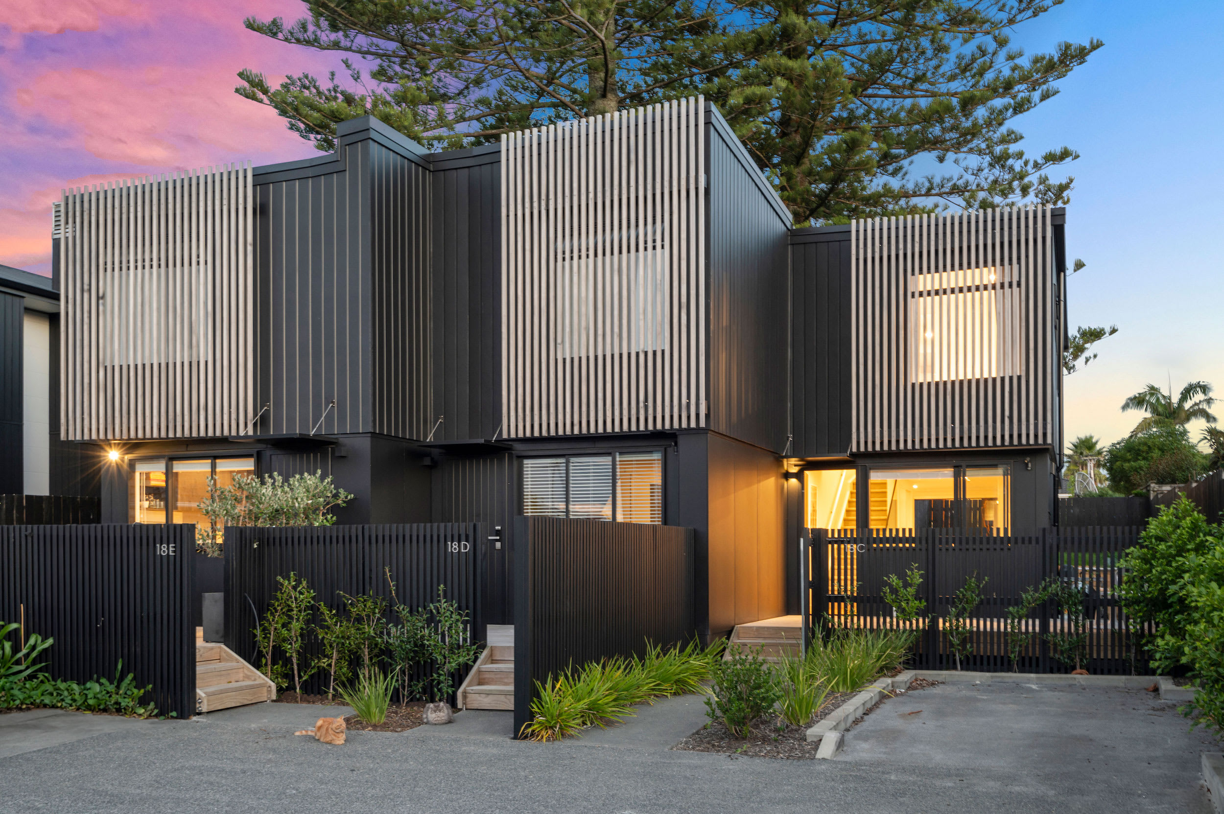 Modern Medium Density Homes in New Zealand
