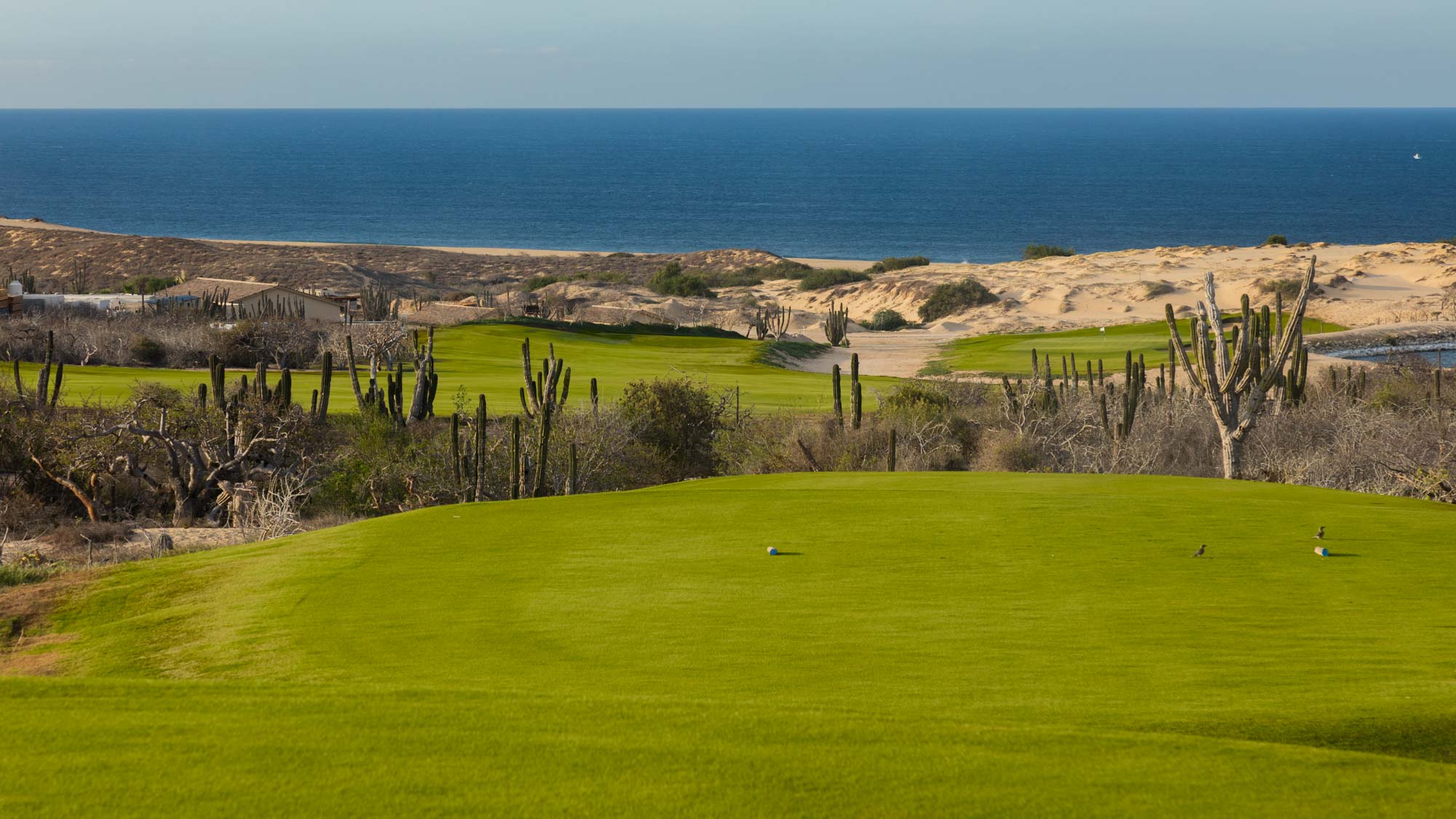 Golf in Cabo - Premier Tee Time Bookings in Cabo San Lucas