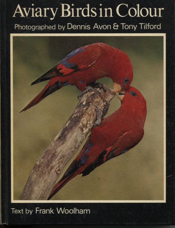 Aviary Birds In Color