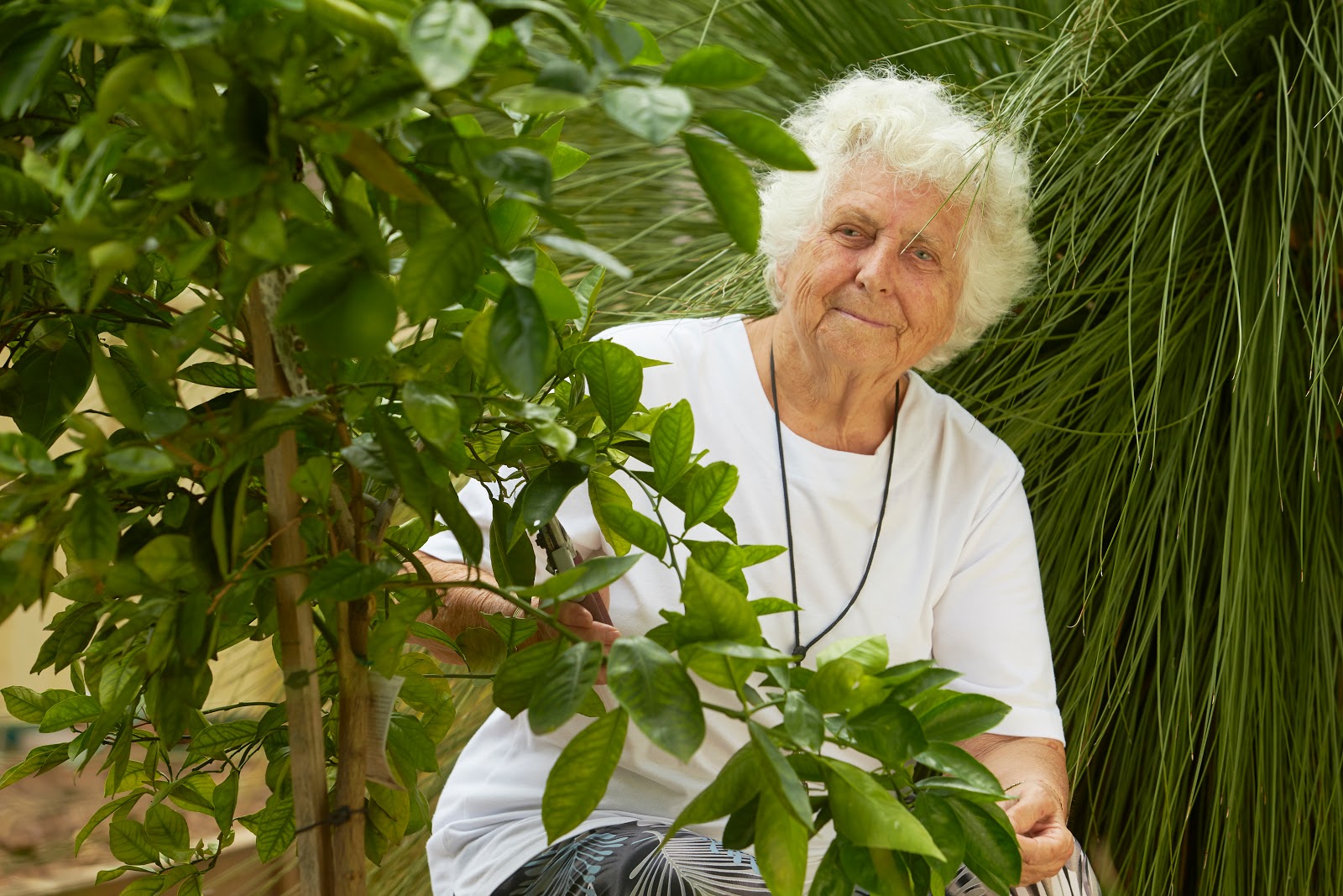 Southern Cross Care WA : Jeremiah Donovan House - Aged Care Home in ...