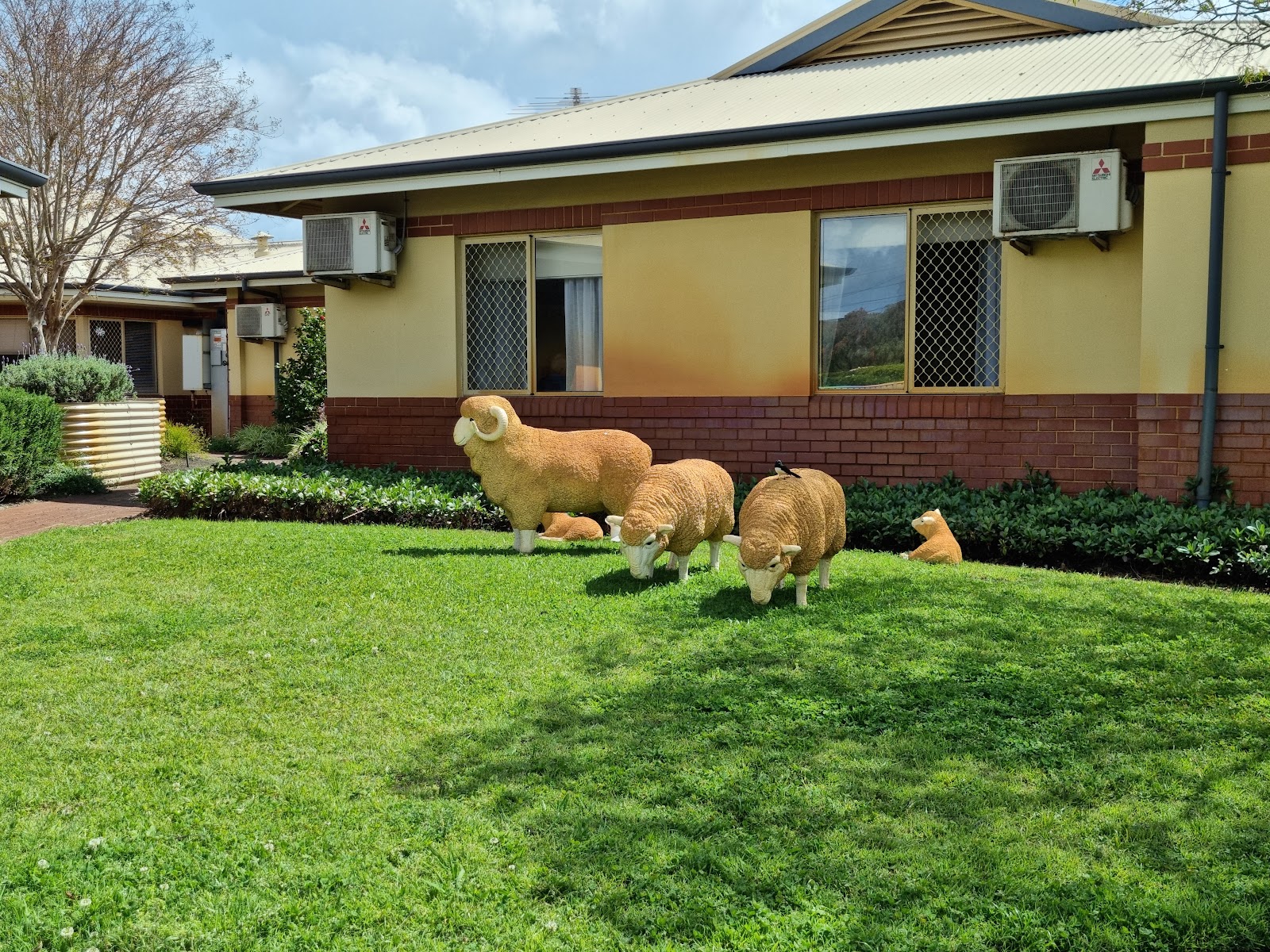 Acacia Living Group Menora Gardens Aged Care Facility, 51 ALEXANDER ...